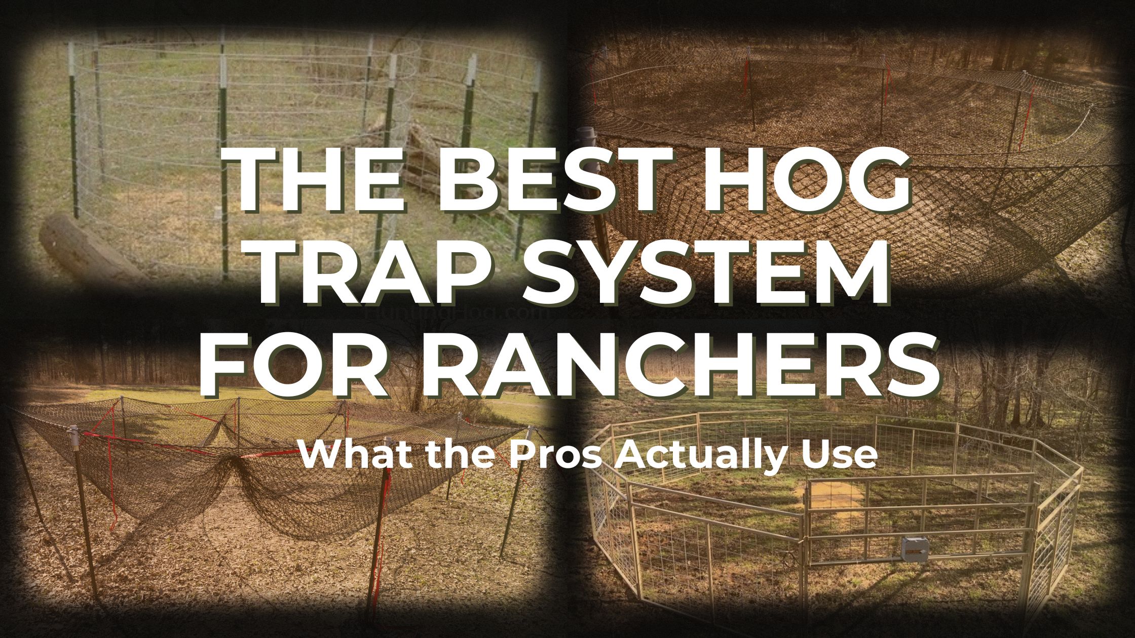 Best Hog Trap System in 2025: Real Rancher Results