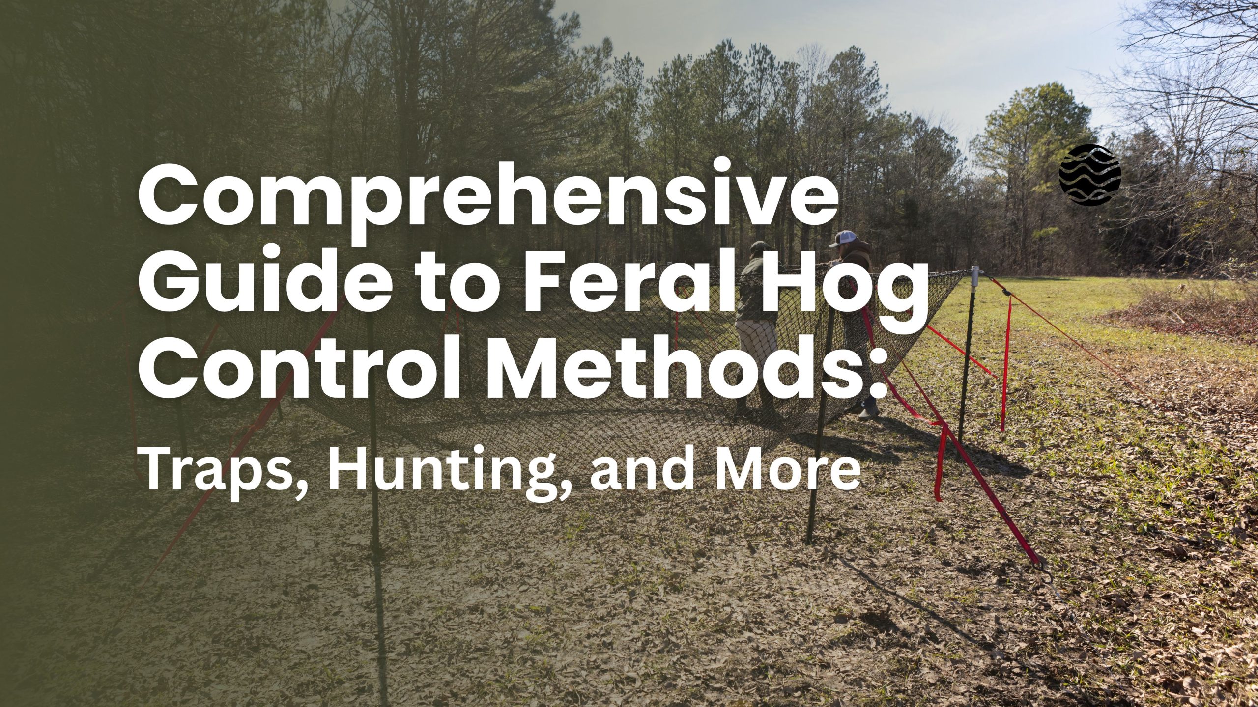 Guide to Feral Hog Control Methods: Traps, Hunting, and More
