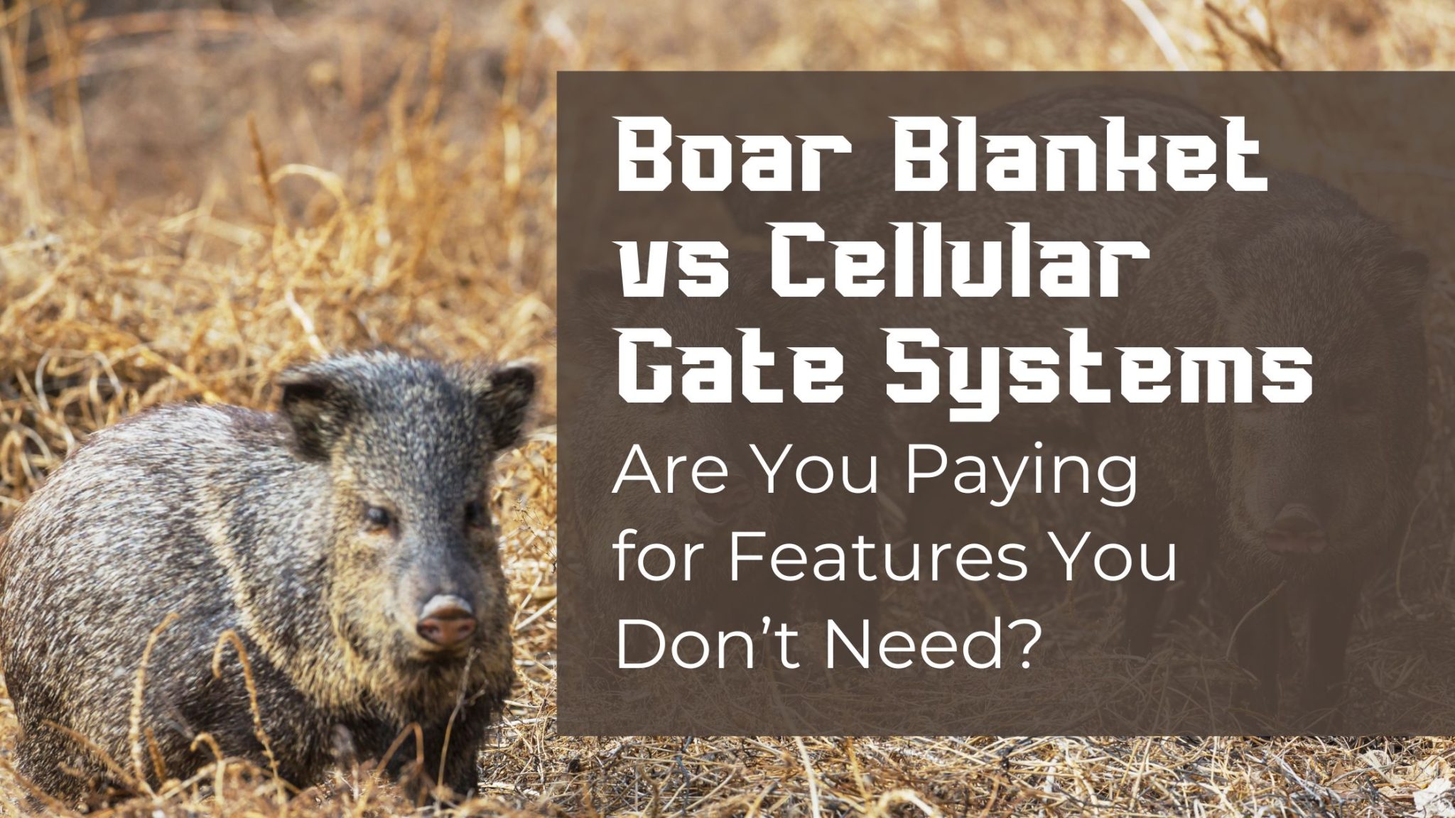Cellular Hog Traps vs Boar Blanket