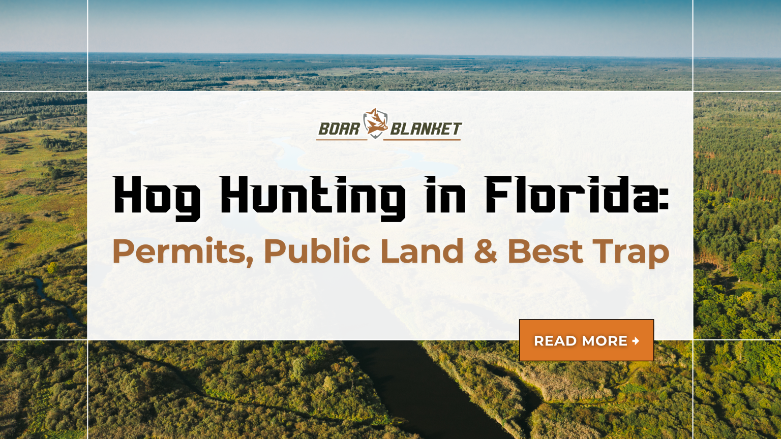 Hog Hunting in Florida: Permits, Public Land & Best Trap