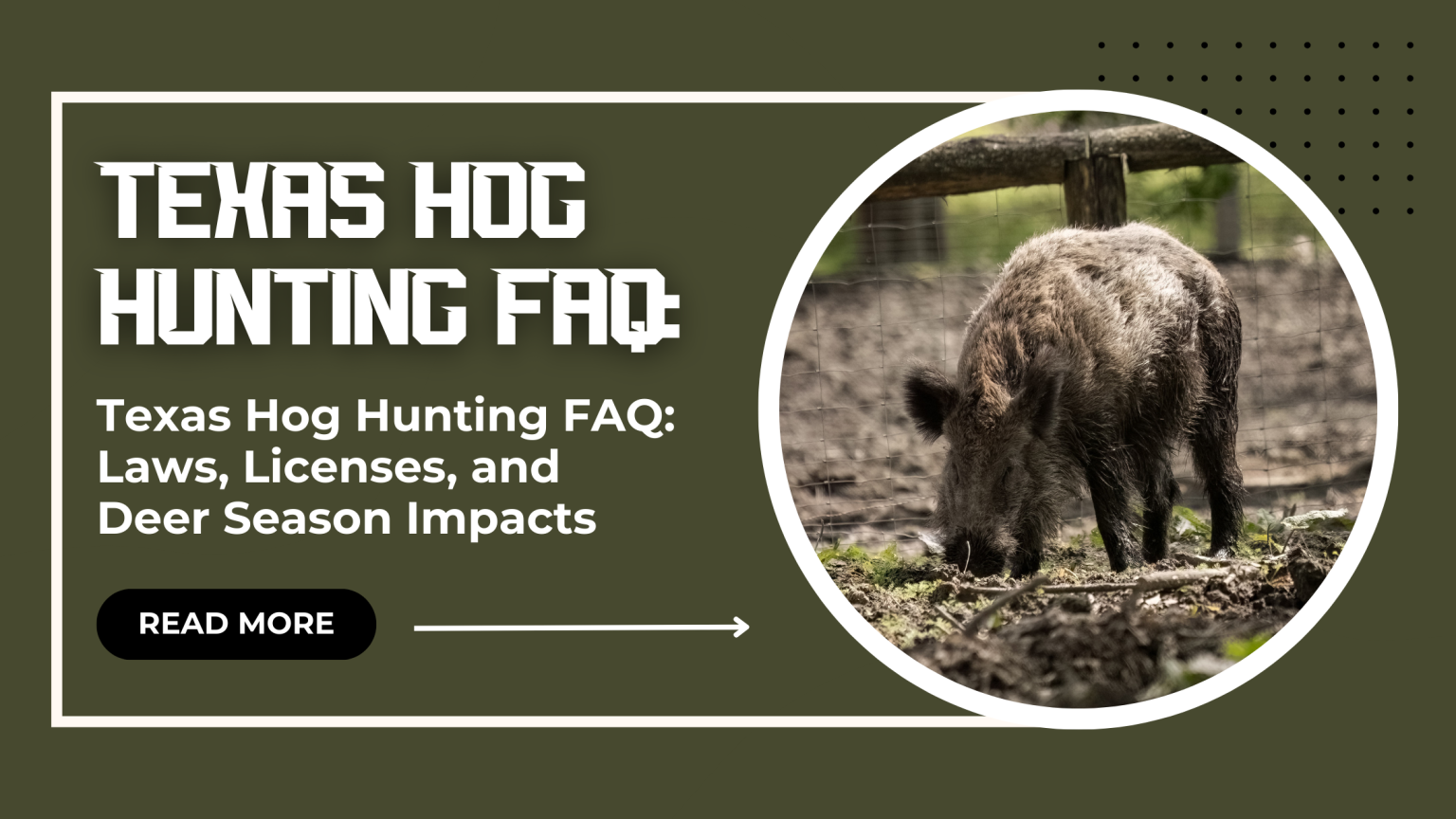 Texas Hog Hunting FAQ: Laws, Licenses, and Deer Season Impacts