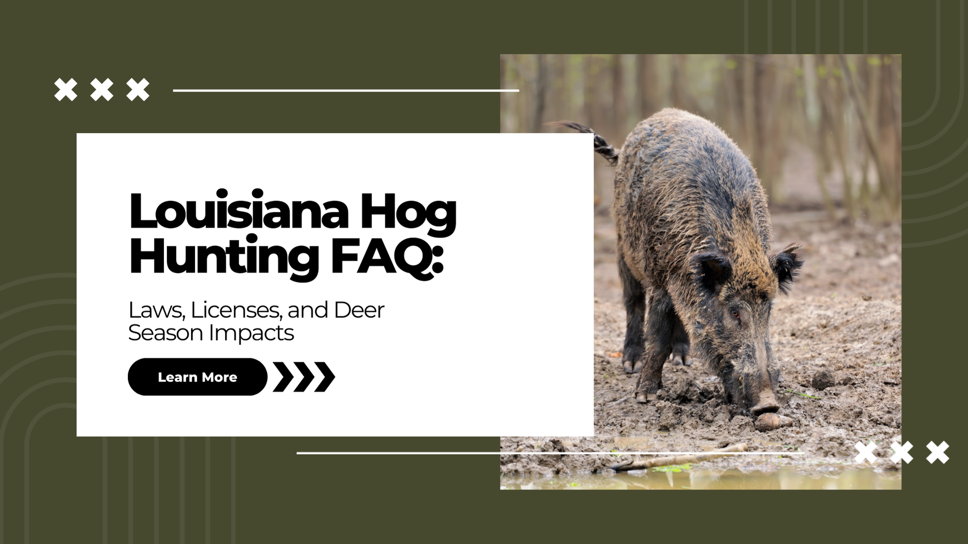 Louisiana Hog Hunting FAQ: Laws, Licenses, and Deer Season Impacts