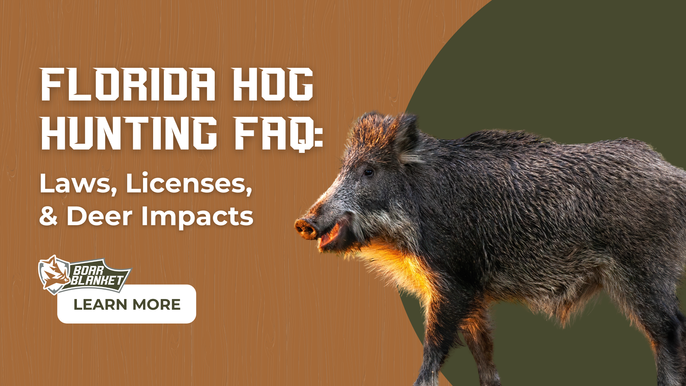 Florida Hog Hunting FAQ: Laws, Licenses, & Deer Impacts