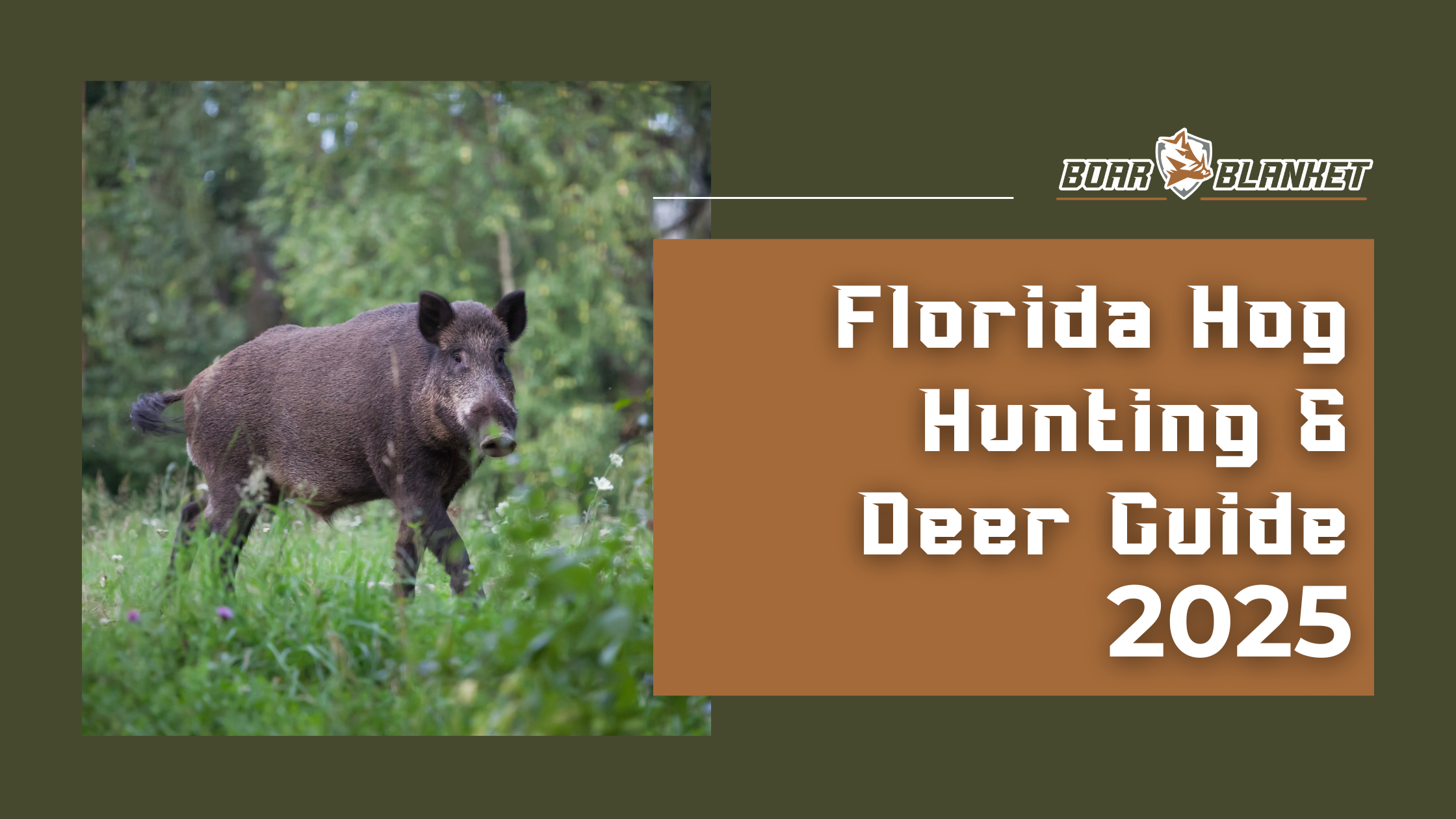 Florida Hog Hunting & Deer Guide 2025