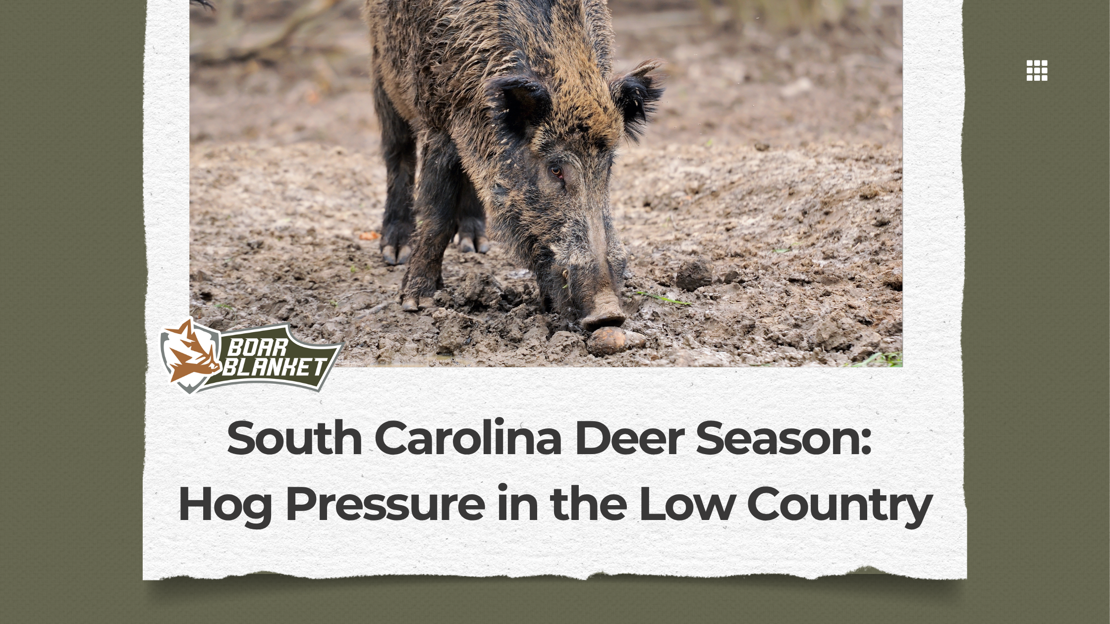 South Carolina Deer Season: Hog Pressure in the Low Country