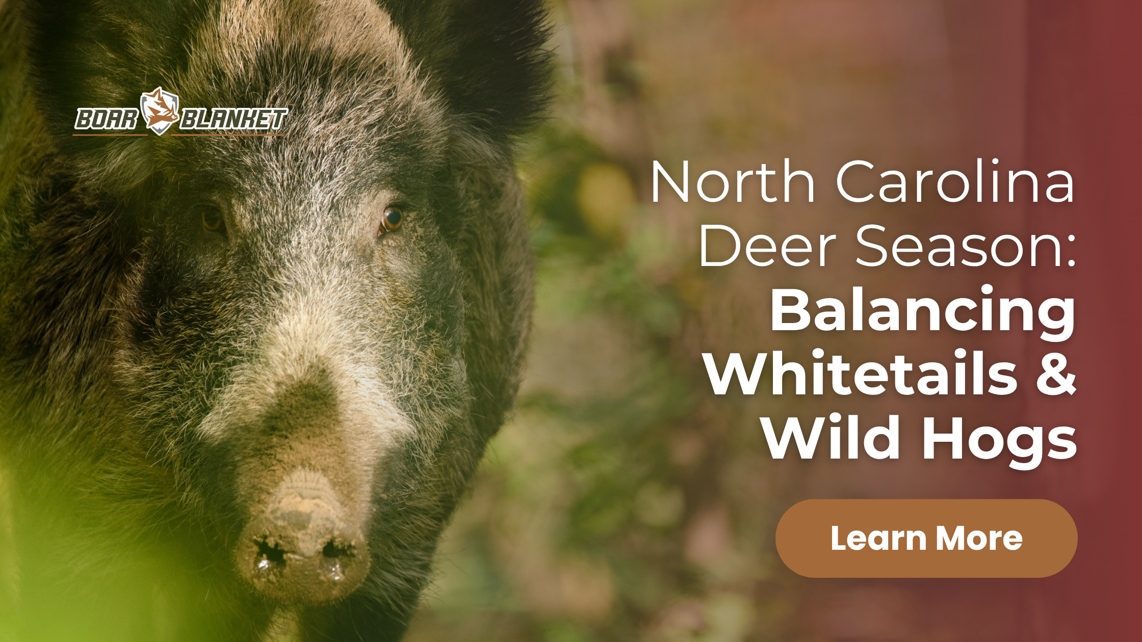 North Carolina Deer Season: Balancing Whitetails & Wild Hogs