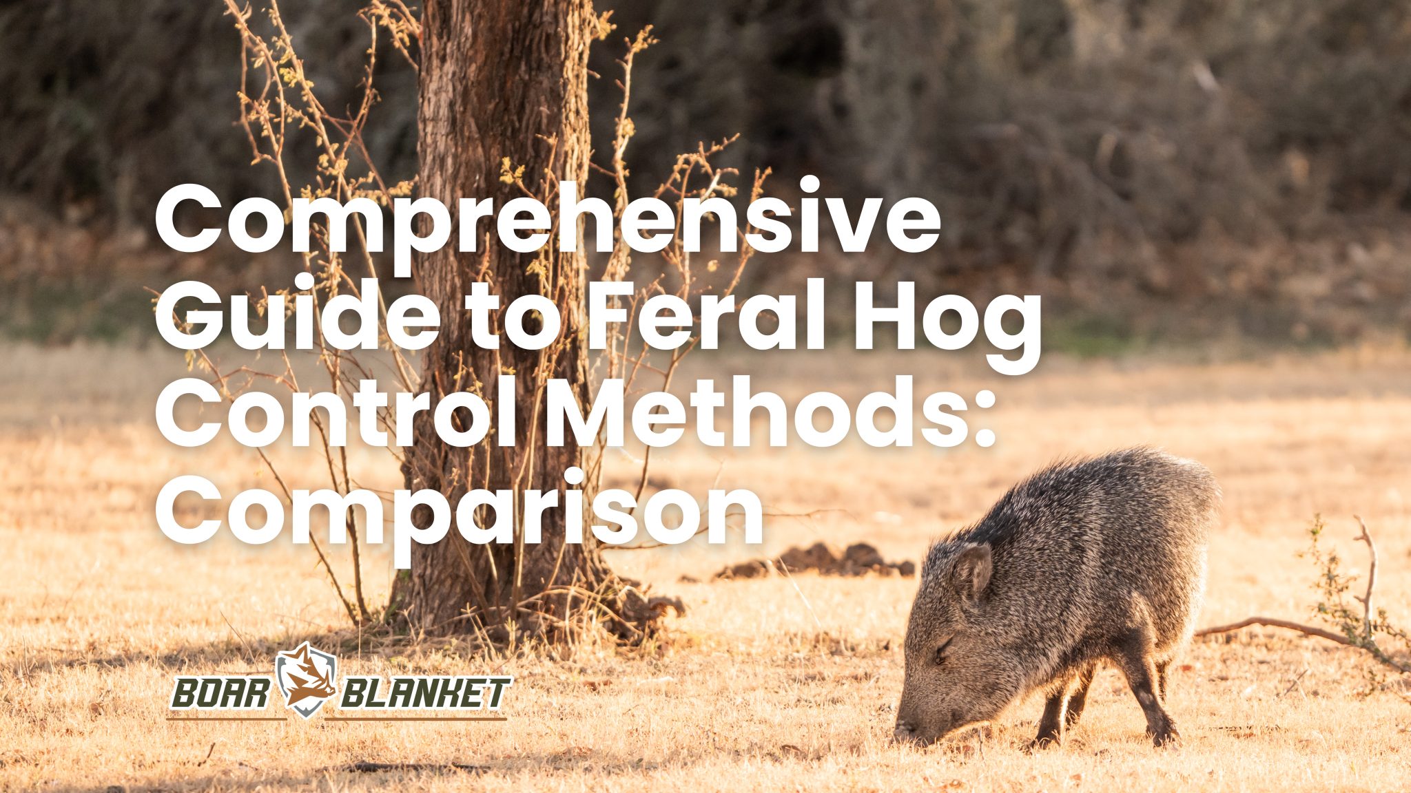 Best Hog Trap Systems 2026 - Comparison